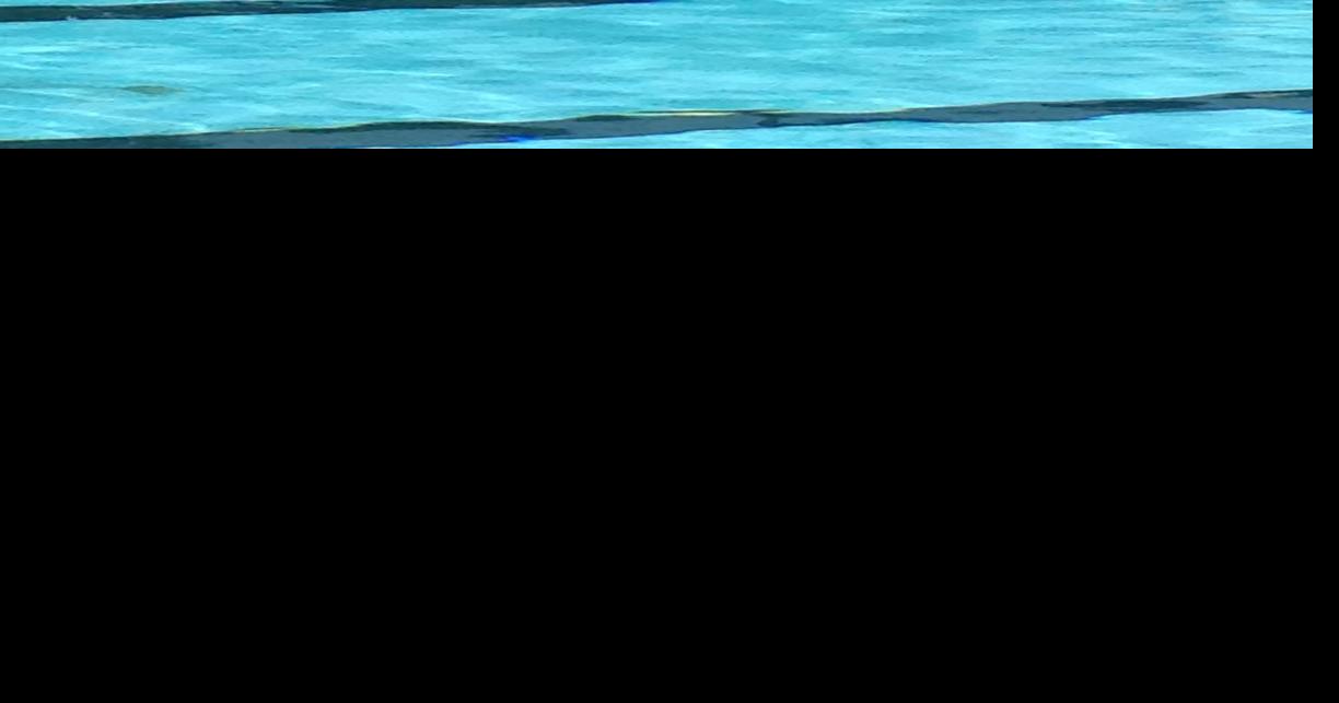 Mallard takes lap at Stonegate Swim Club pool