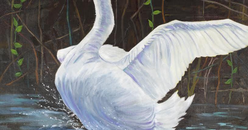 Art Pannonia to open new exhibit by Sally Mook