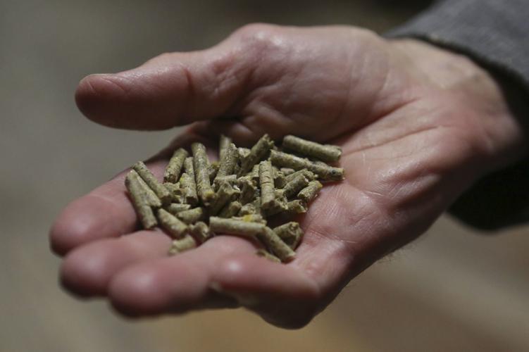 Milling a Southern tradition: Big Spring Mill hitting 169 Years