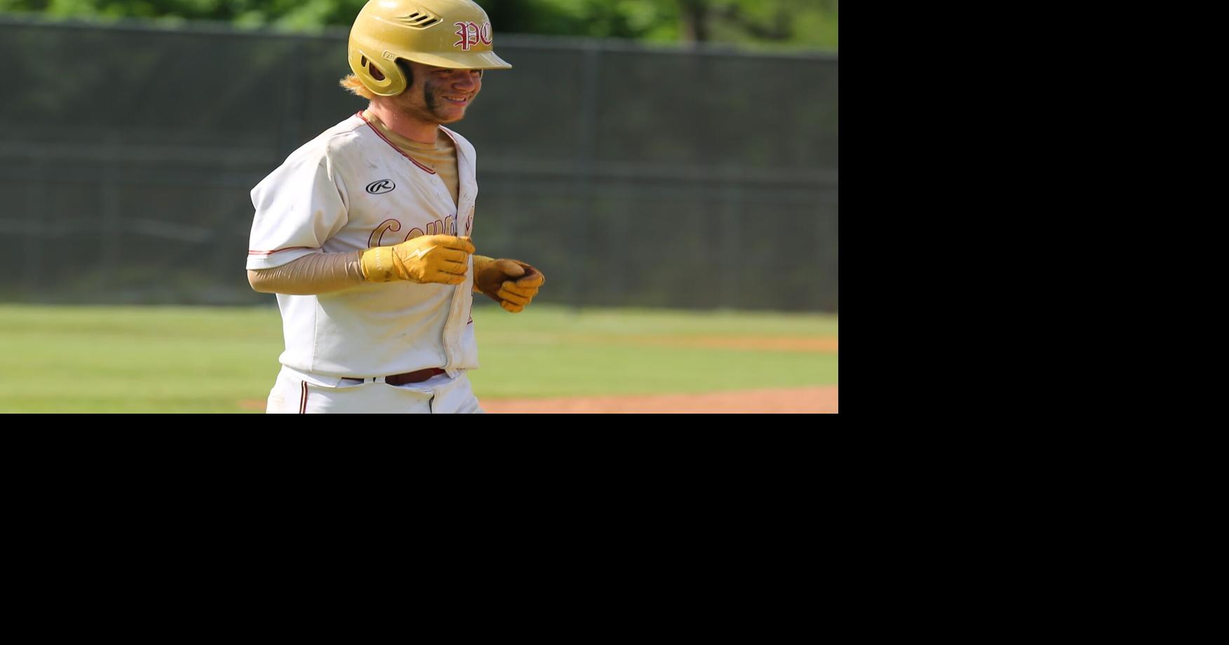 Pulaski falls to York in state baseball semifinals