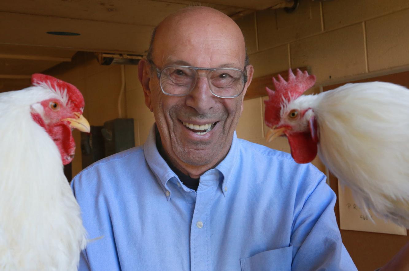 Images from Chicken Hill, home of Paul Siegel's research since 1957