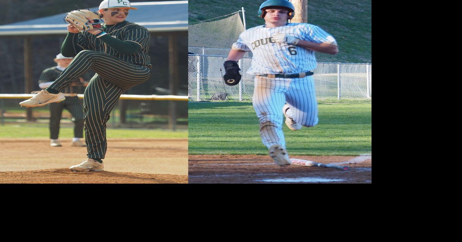 Patrick County's Swails, Callahan named baseball all-state