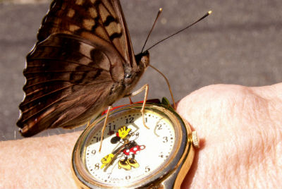 Photos: Oh, how time flies