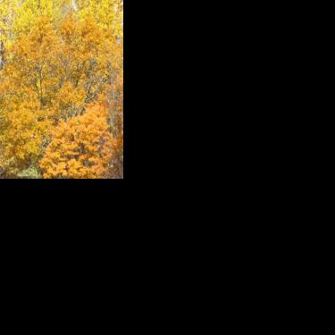 Fall photos from Taylor Newcomb