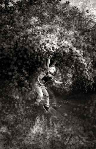 Art Pannonia to open Pippi Miller exhibit