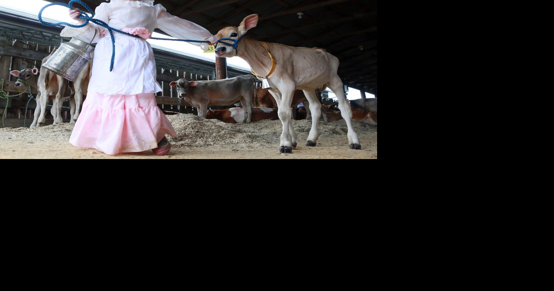 Photos from the New River Valley Fair