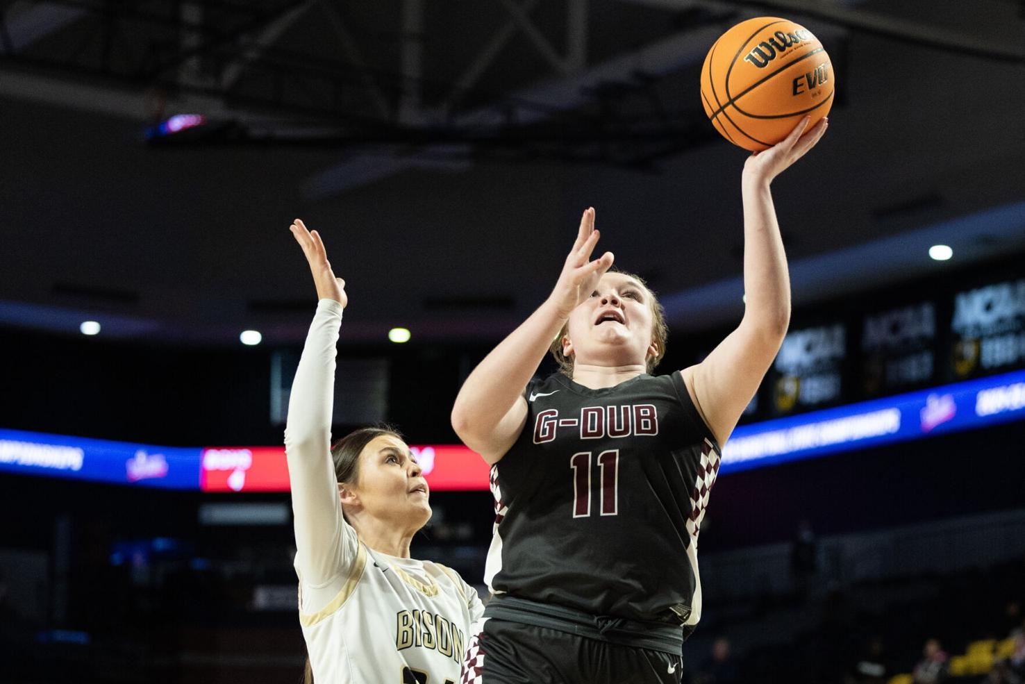 The Roanoke Times 2025 All-Timesland Girls Basketball Team