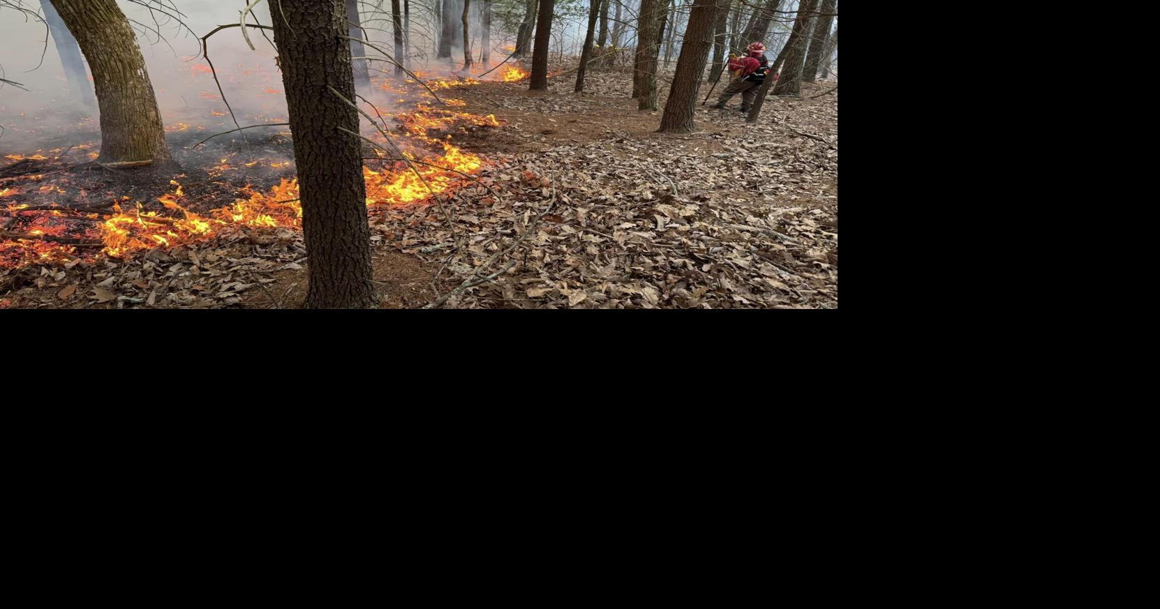Fire crews contain wildfire near Peaks of Otter