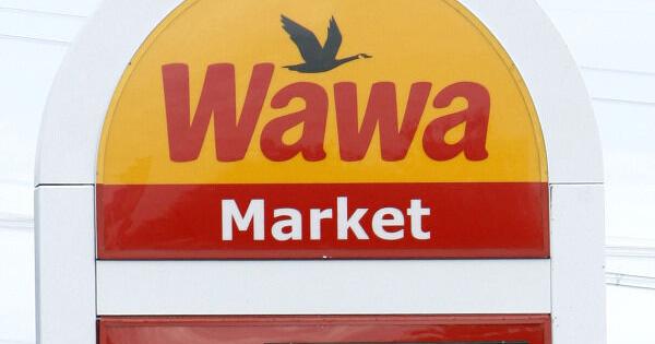 Wawa wins approval in Daleville