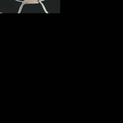 Farrier, Jenny Grogan