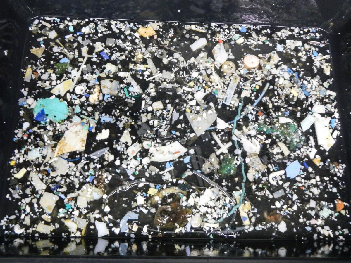 Plastic within the Great Pacific Garbage Patch is 'increasing ...