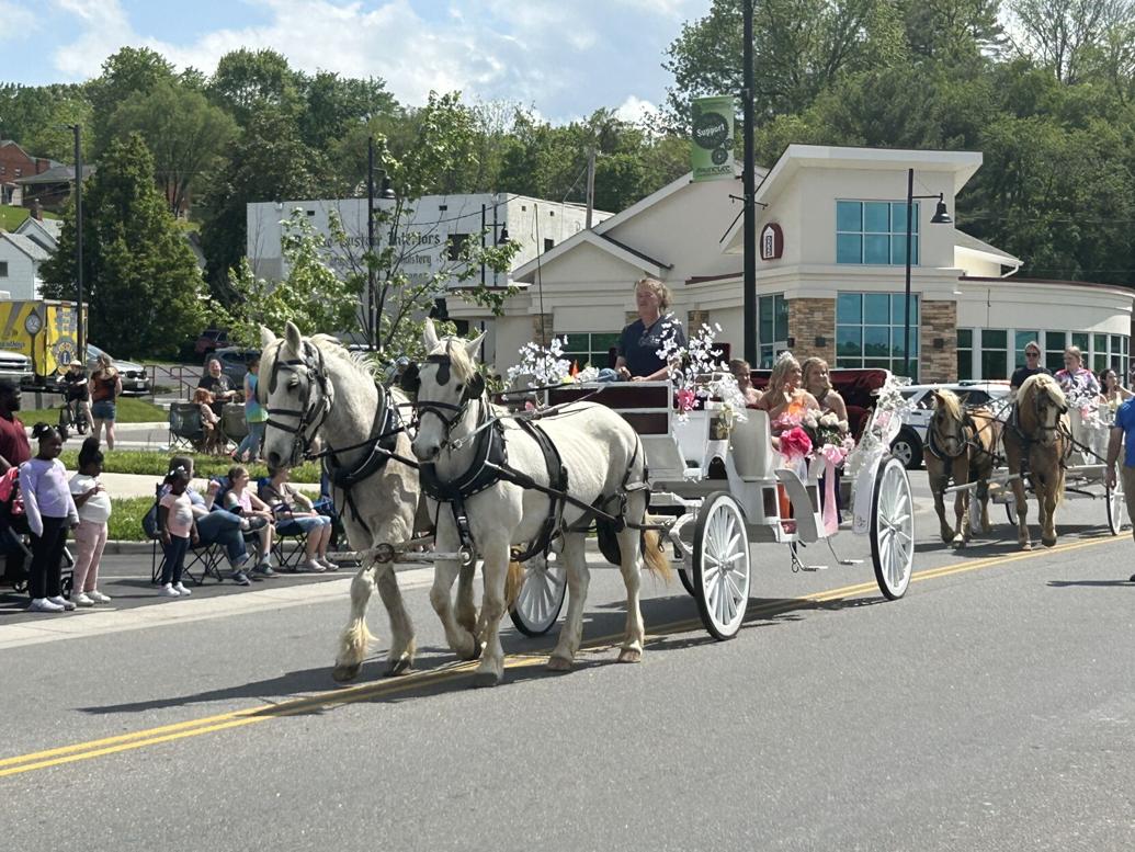 Photos and video: From the 2023 Vinton Dogwood Festival parade