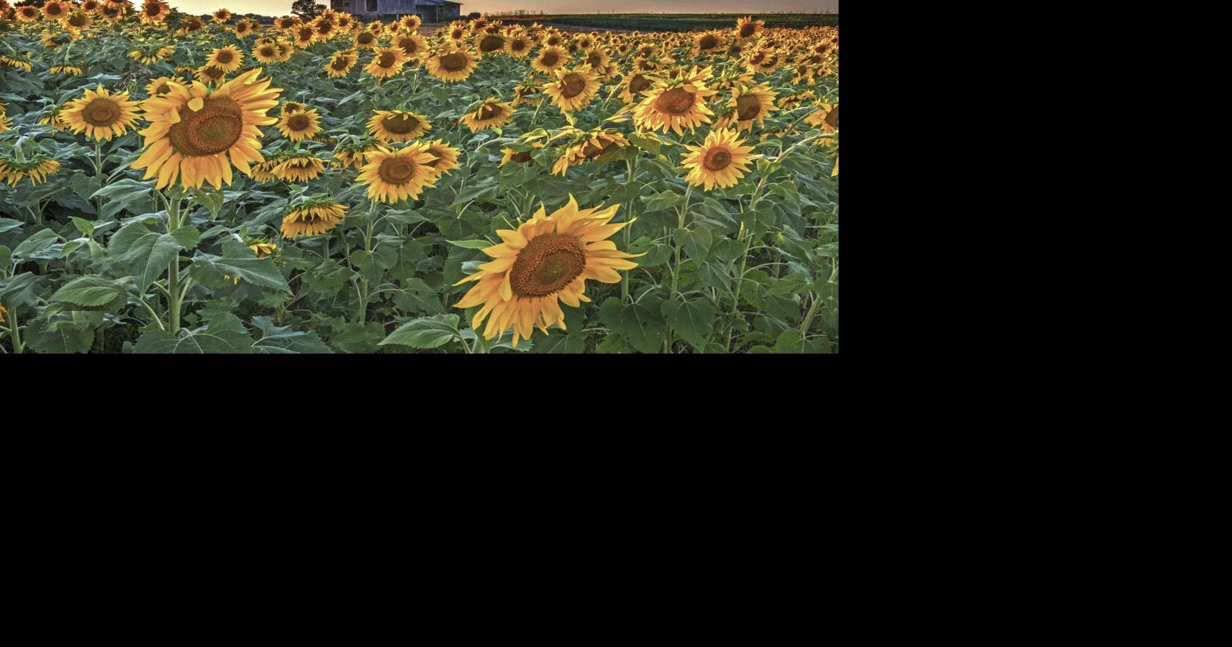 Business Intel: Gauntlet business competition names winners