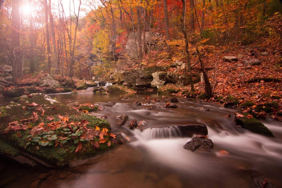 Southwest Virginia shows off its fall colors