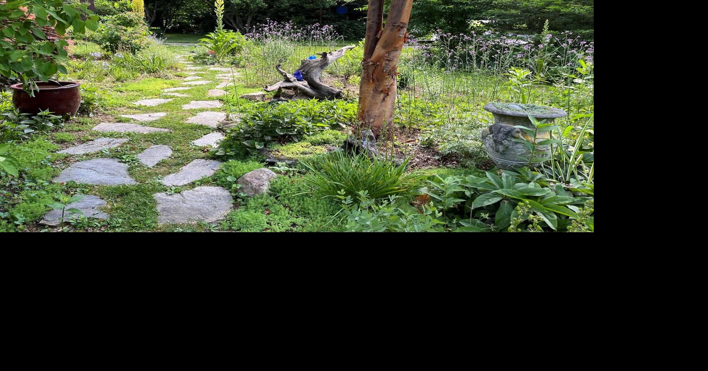 Sustainable Blacksburg hosting series of free garden tours
