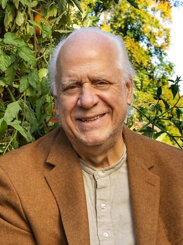 Commentary: The Vitruvian Garden