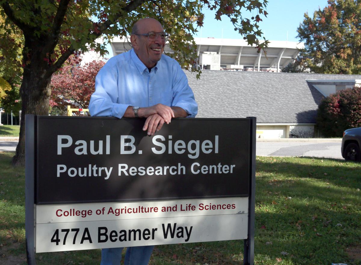 Images from Chicken Hill, home of Paul Siegel's research since 1957