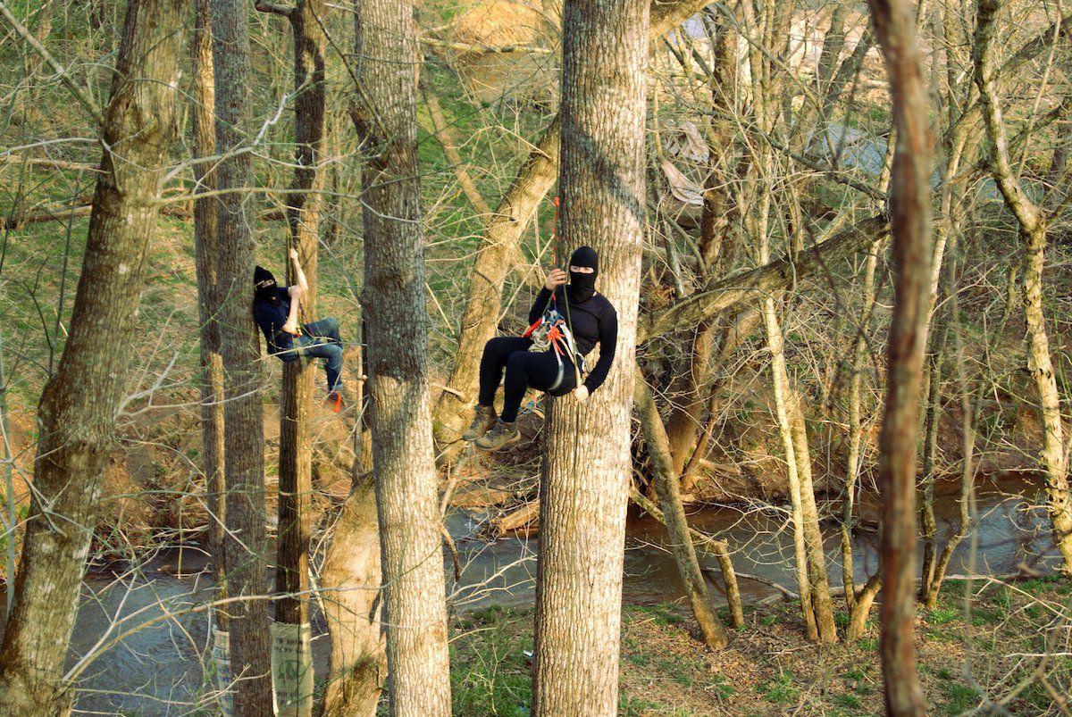 Tree-sit protests of the Mountain Valley Pipeline pose a new challenge ...