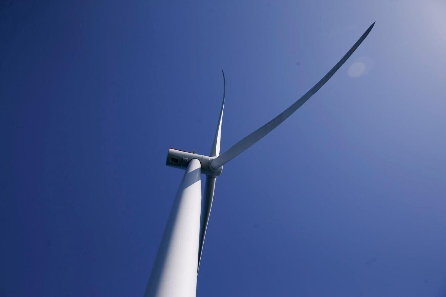 Trump administration pauses wind farm off Virginia Beach