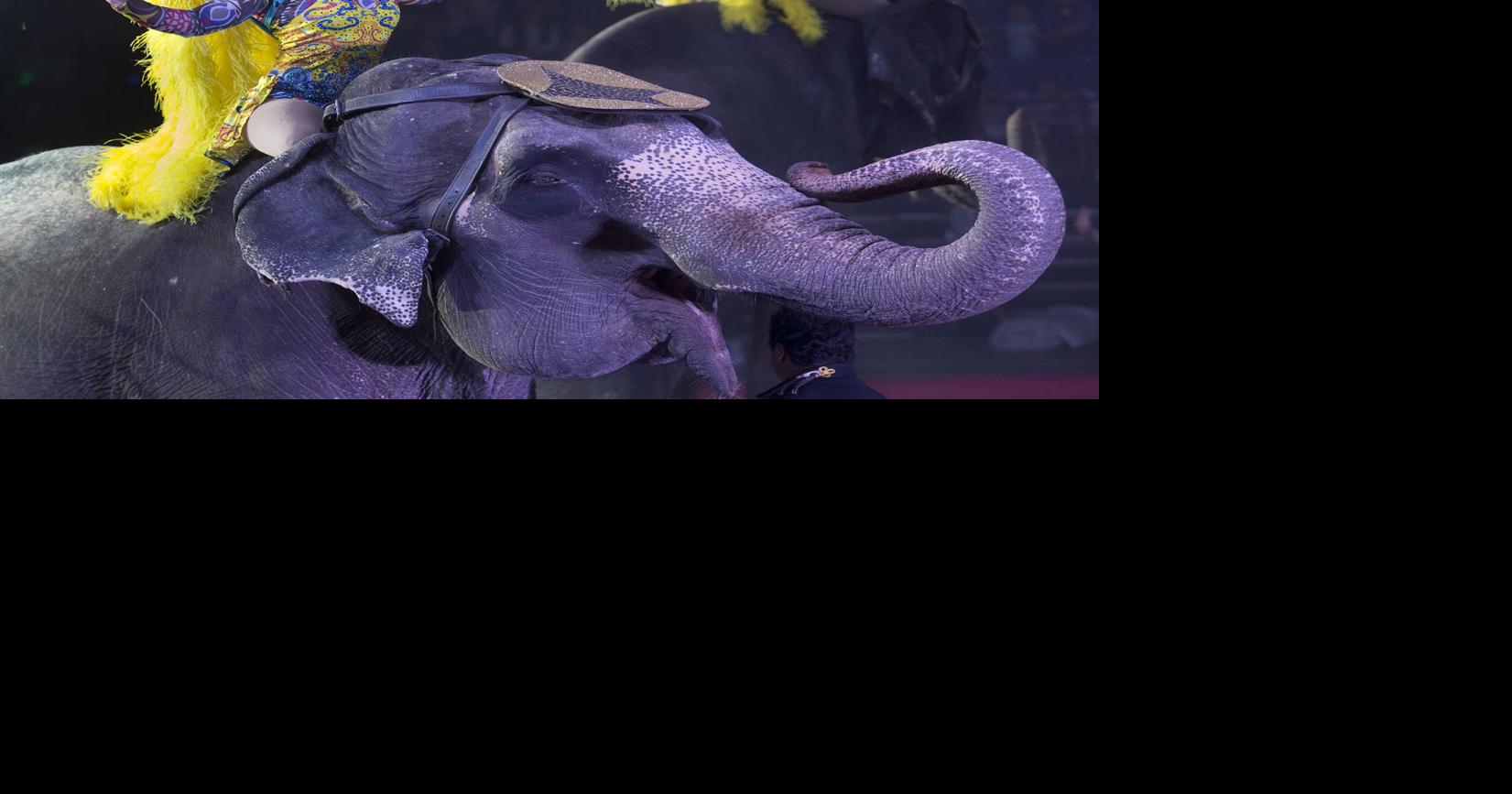 The 60th Kazim Shrine Circus