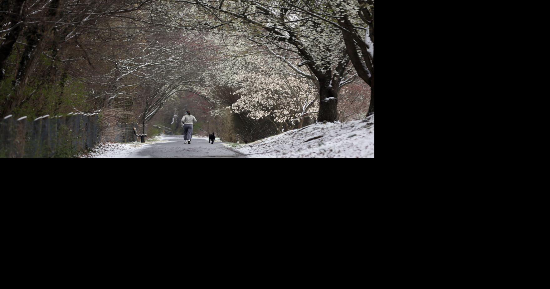 Photos: Winter's last gasp brings snow to New River, Roanoke valleys