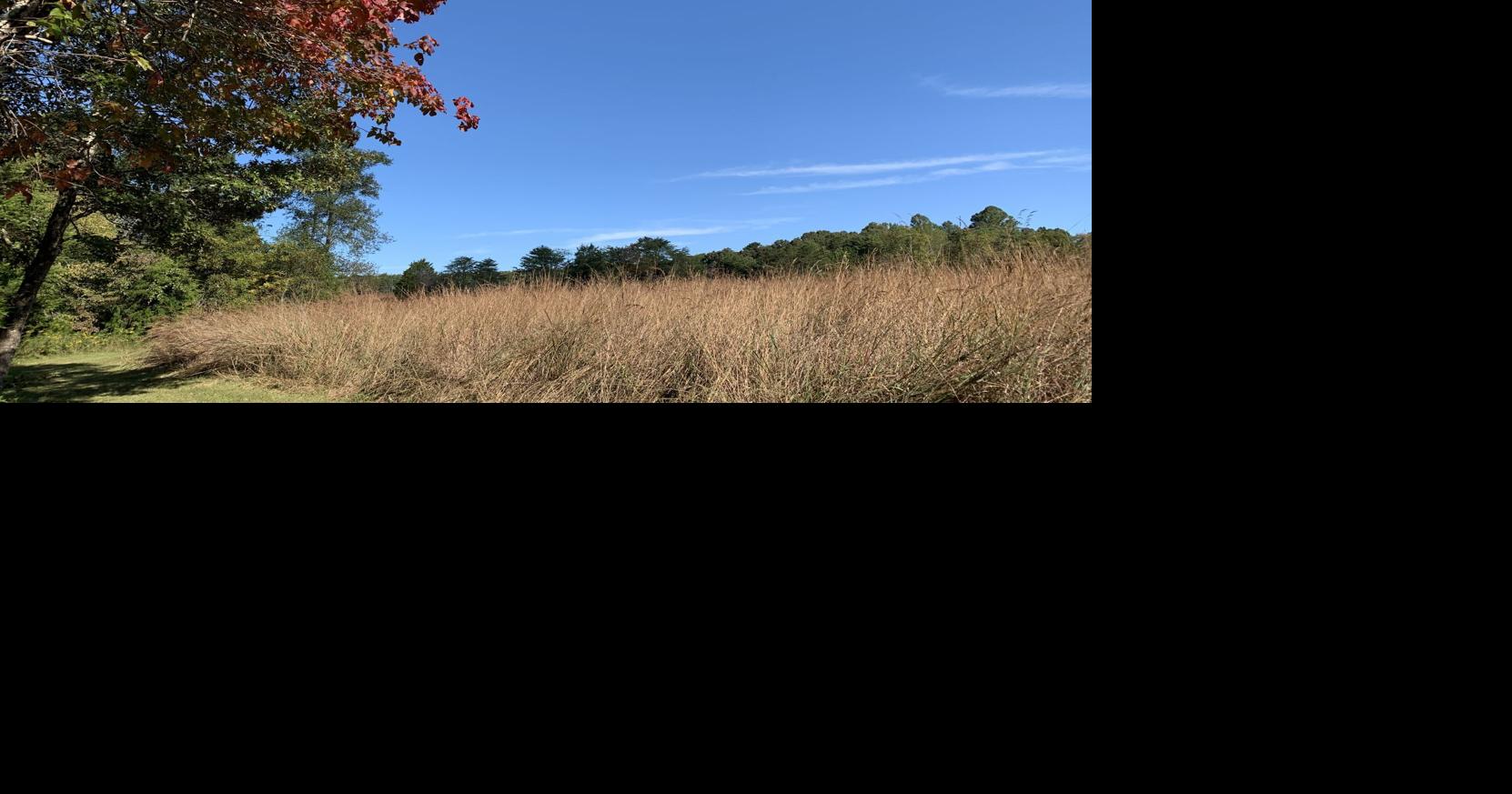 Weather Journal: Good mix of weather for fall colors to start popping