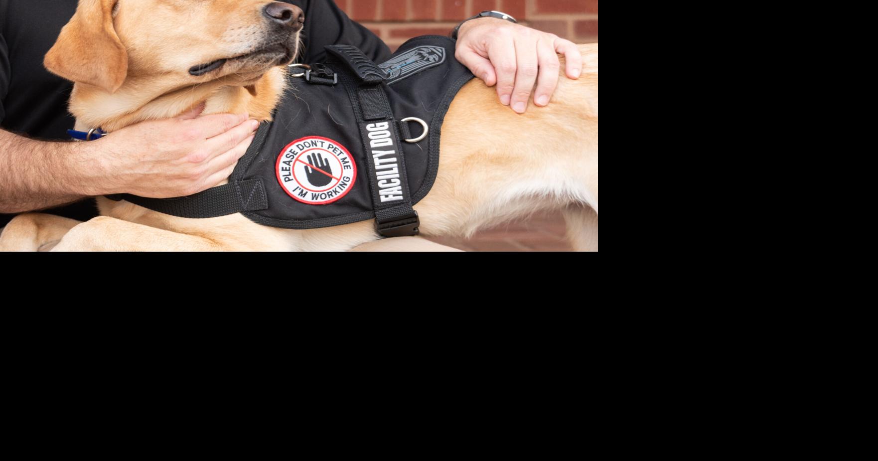 Roanoke nonprofit law enforcement chaplaincy gets first service dog