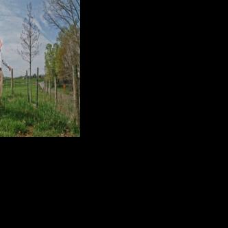 A Gallant Ignorance: The Battle of Seven Mile Tree