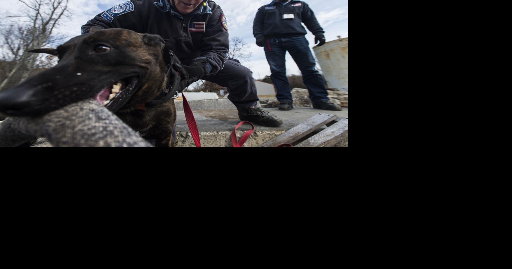 FEMA canine search teams hone their craft in Bedford County