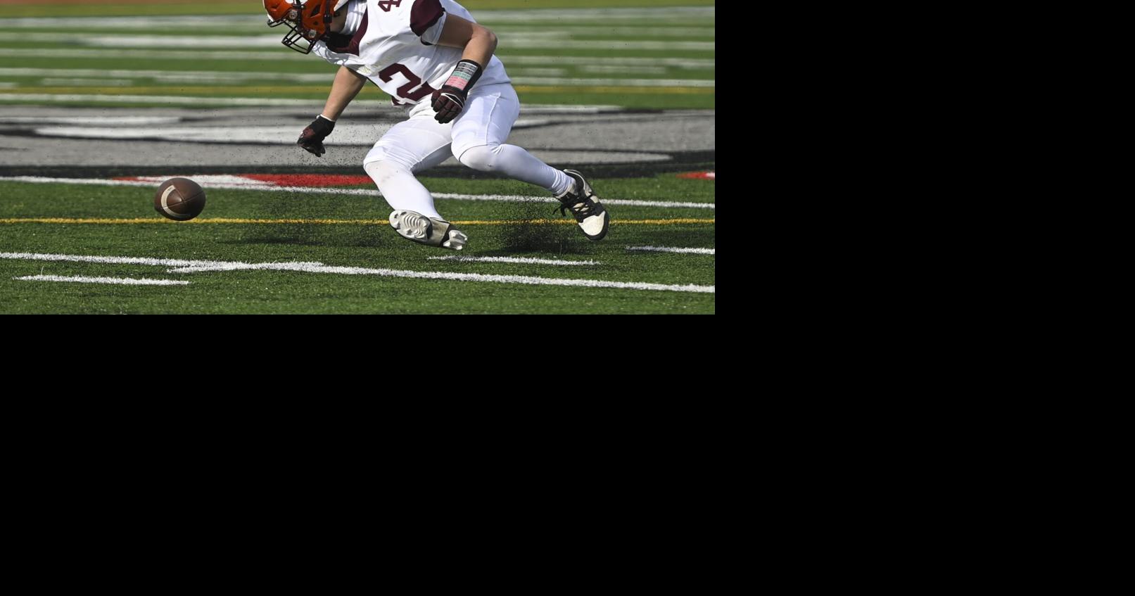 William Byrd bitten by LCA again in Class 3 state semifinals