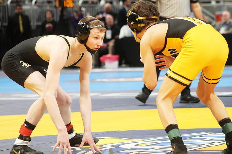 Zebra wrestlers finish on podium at state | Sports | rochsent.com
