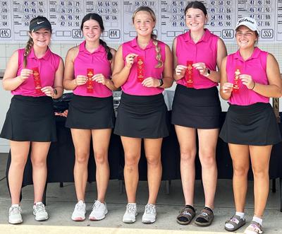 Valley girls Vikings advance to regional for 2nd time | Sports ...