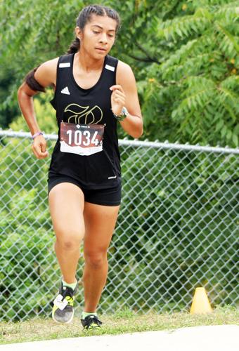 Rochester XC teams sweep Invite | Sports | rochsent.com