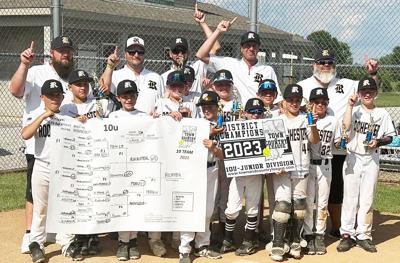 Rochester 10U wins district title | Sports | rochsent.com
