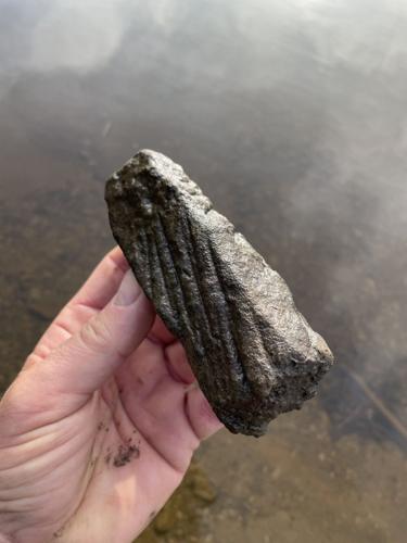 Ancient Roman factory found on English riverbank | National | rochsent.com