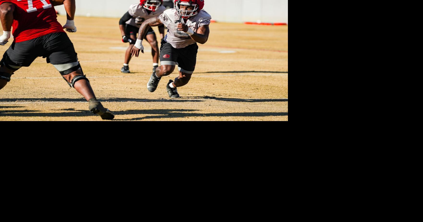 Georgia LB Raylen Wilson Got an Early Start | Sports ...