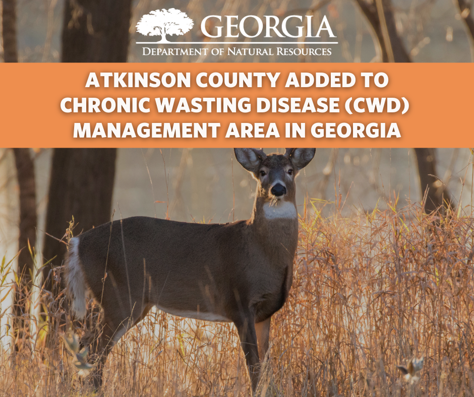 Positive case of chronic wasting disease confirmed in Atkinson County ...