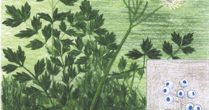ORRIN MORRIS: God is our loving creator | Faith | rockdalenewtoncitizen.com