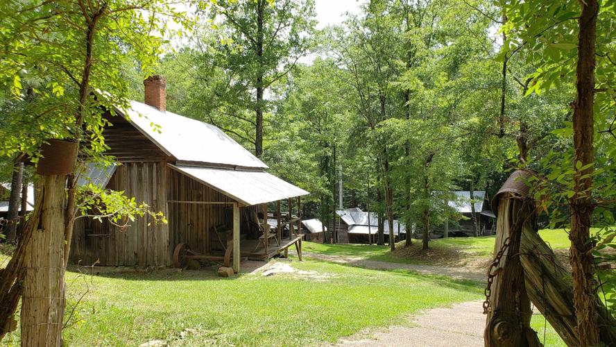 Labor Day celebration highlights hard work of Georgia farmers at ...