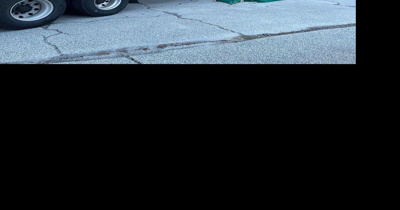 New cherry trees coming to Conyers | | rockdalenewtoncitizen.com