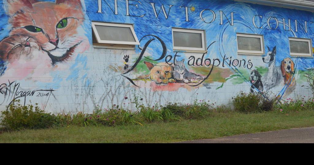 Newton Animal Services taking mitigating measures due to COVID-19 ...