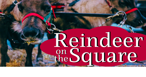 GET OUT THERE: 5 things to do ahead of Christmas Day | Rockdale Newton ...