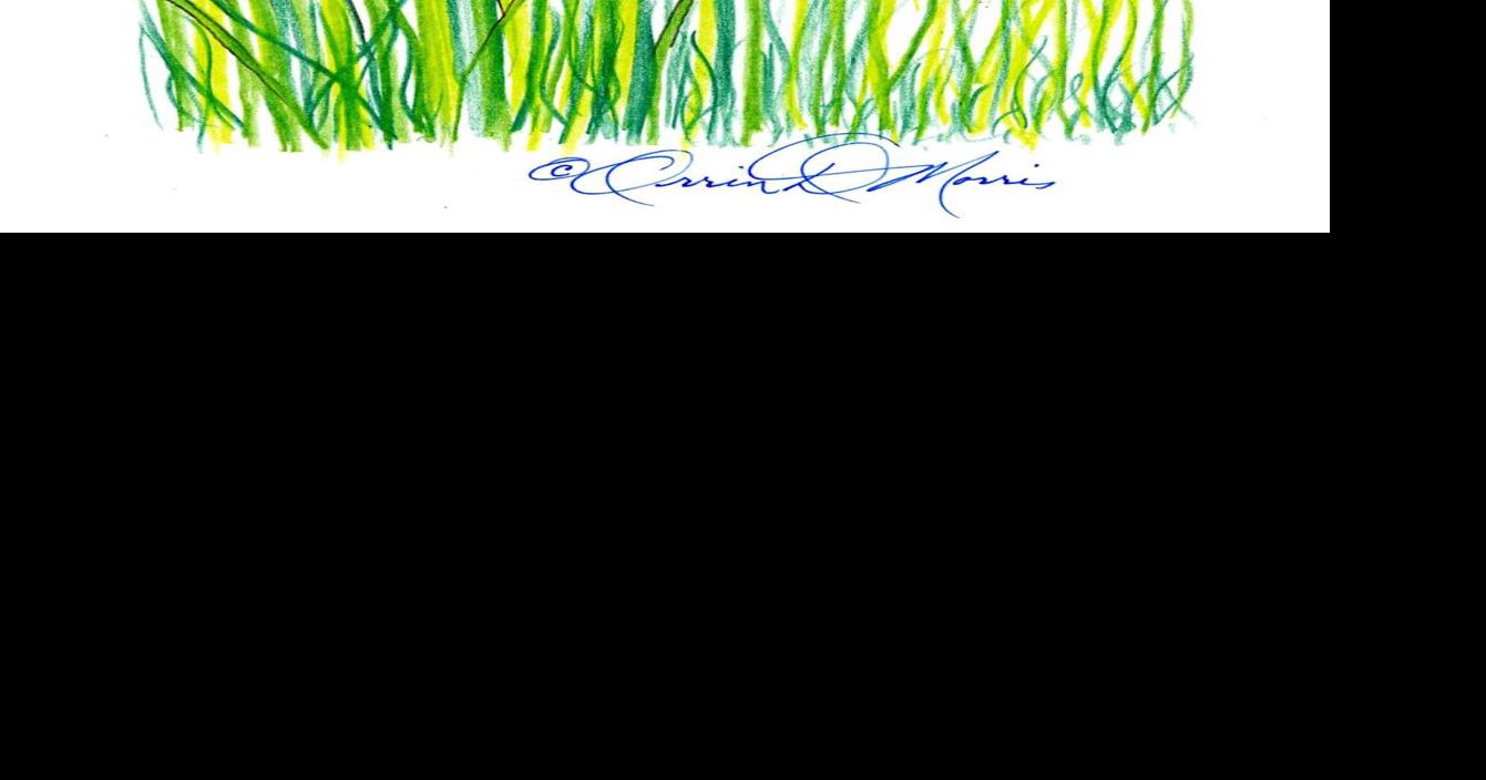 MORRIS: Find God's splendor in the simple | Features ...