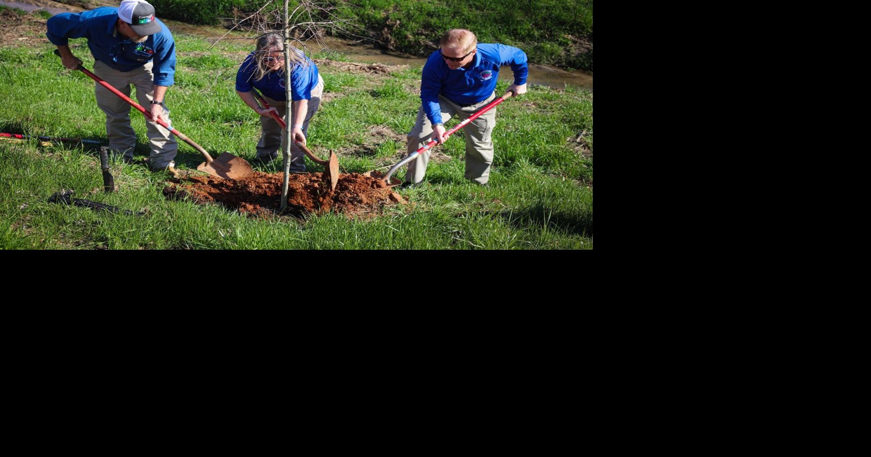 Covington Celebrates Arbor Day With Tree Plantings ...