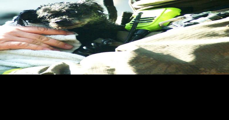 Rockdale Citizen wins 1st place for local news coverage in GPA contest ...