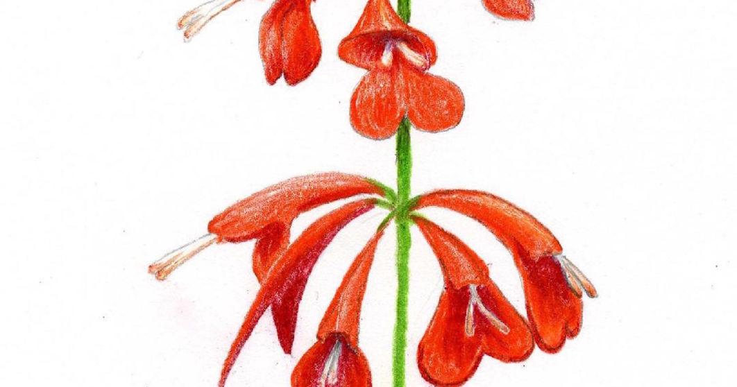 ORRIN MORRIS: We can truly see God through meditation, prayer | Faith ...