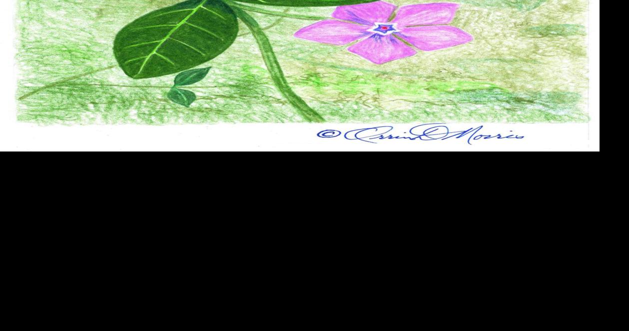 ORRIN MORRIS: Periwinkle blue recalls the mother of Jesus | Faith ...