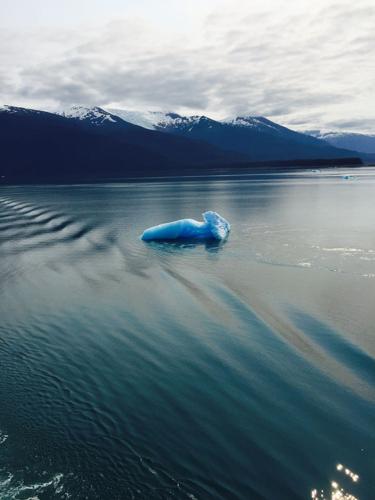 Big Chill: Images from Alaska | PHOTOS | News | rockdalenewtoncitizen.com