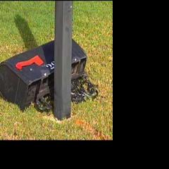 Teen charged in mailbox bashing | News | rockdalenewtoncitizen.com