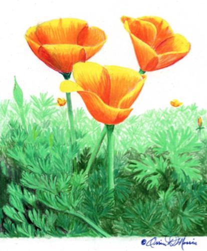 MORRIS: God crowns our lives with abundance | Features ...
